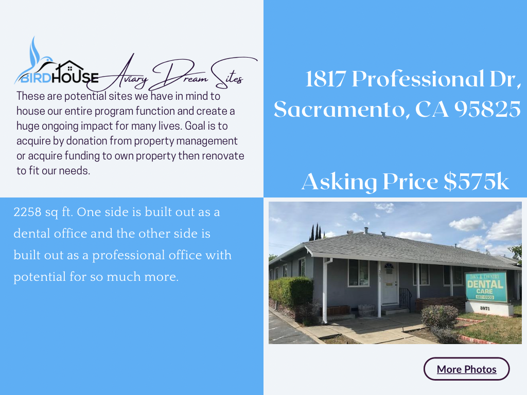 Home | Birdhouse Fly Away